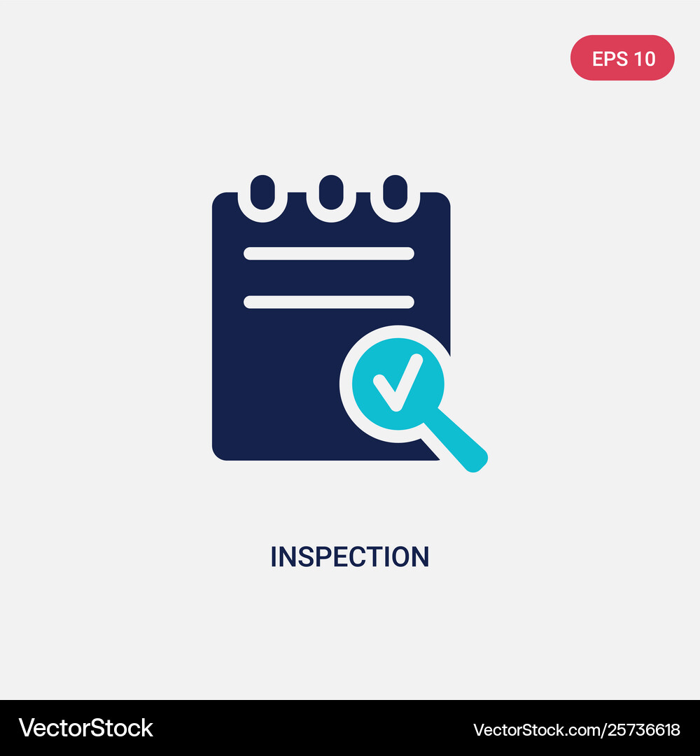 Two color inspection icon from delivery Royalty Free Vector