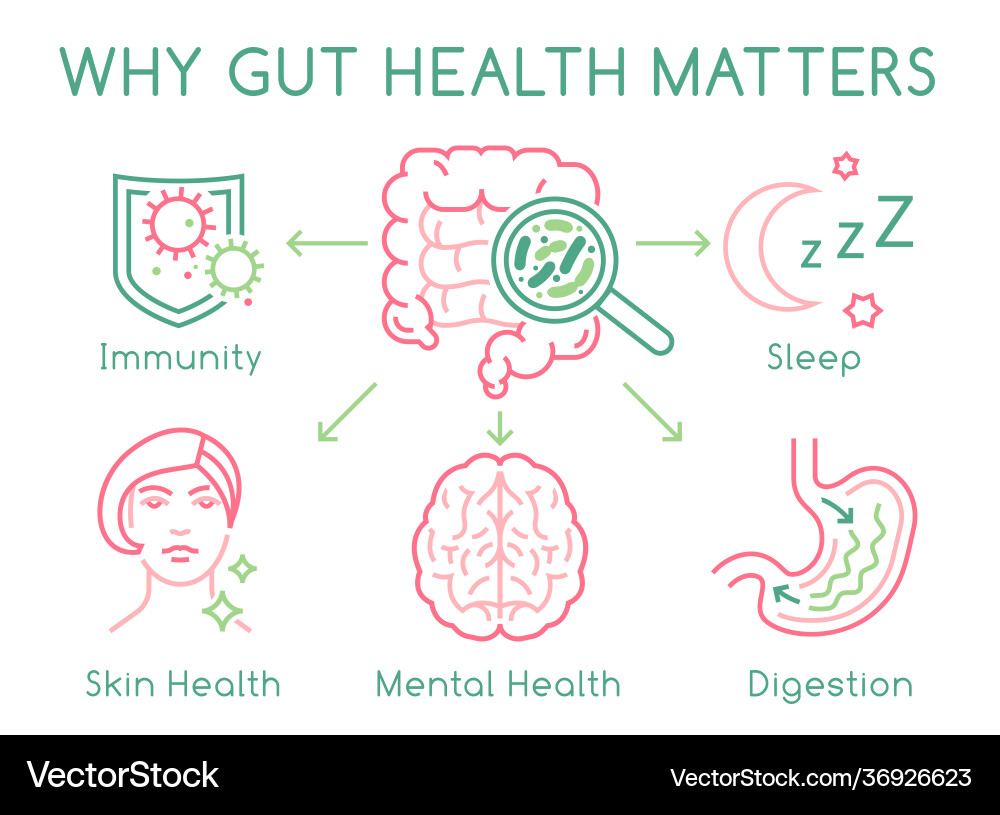 Gut health horizontal poster editable Royalty Free Vector