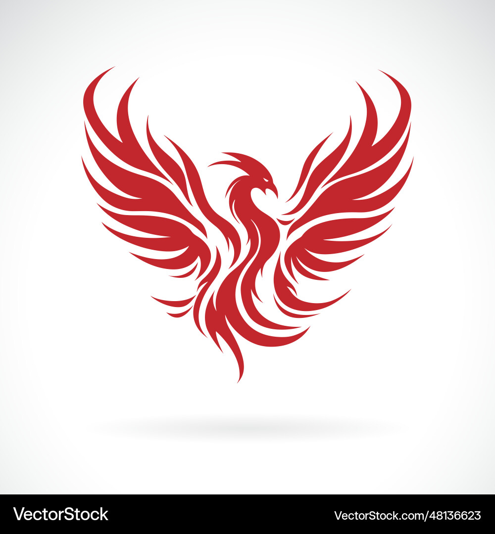 Phoenix is flying on white background bird wild Vector Image
