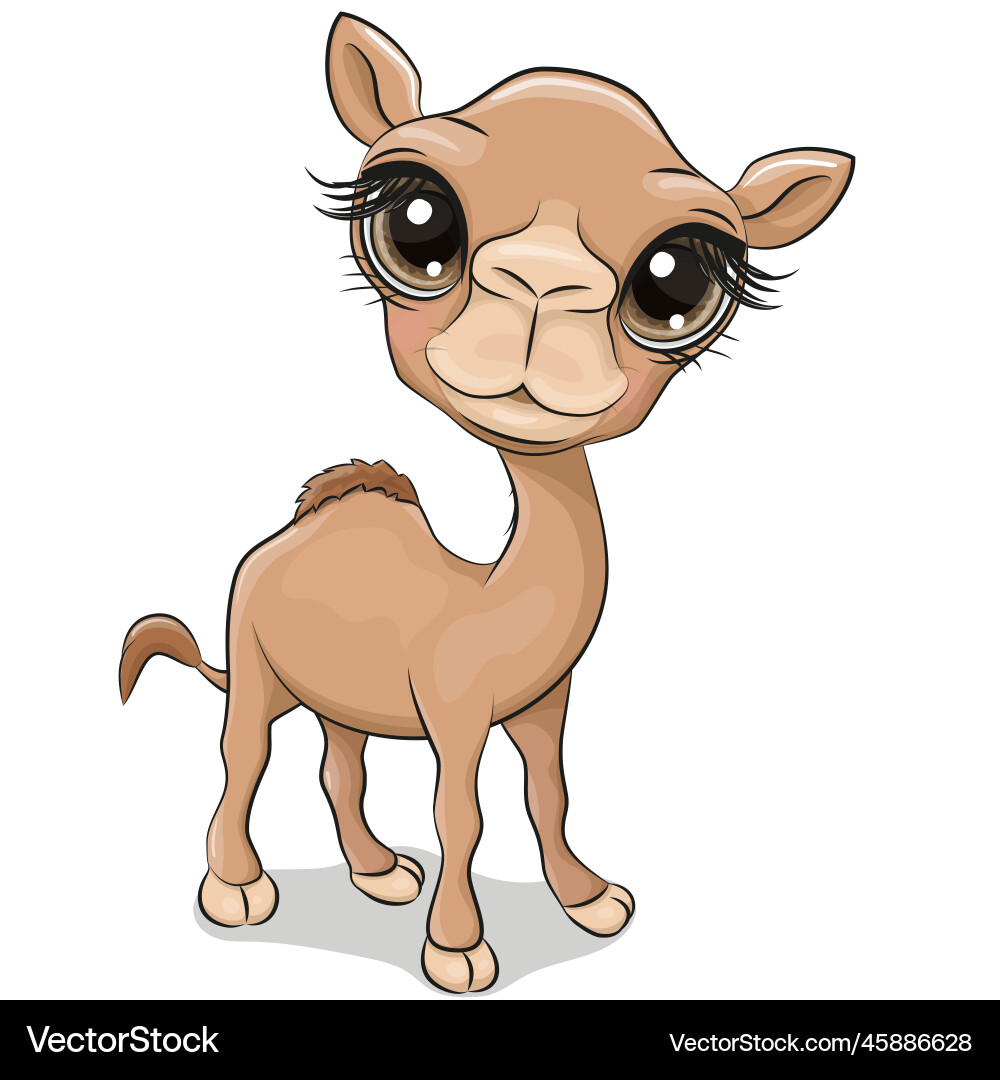 Cartoon camel isolated on white background Vector Image