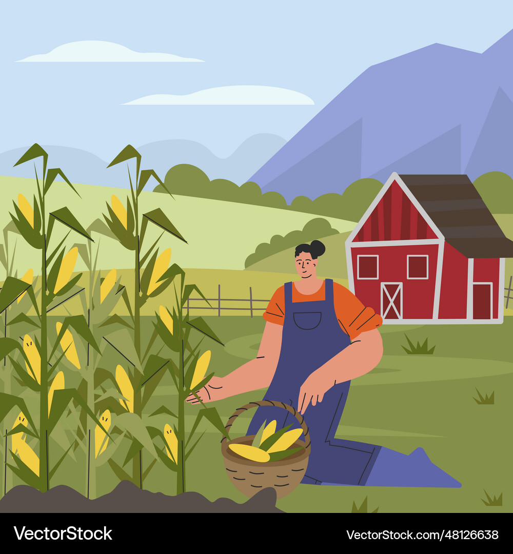 Farmer at work agricultural worker harvesting Vector Image