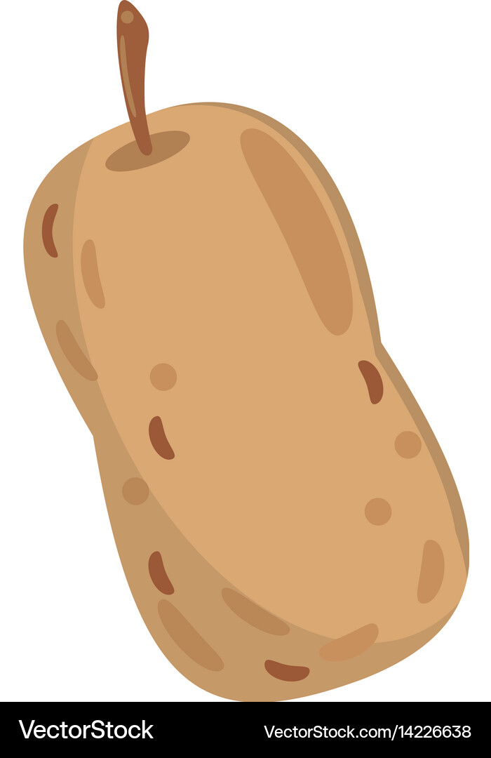 Potato food healthy image Royalty Free Vector Image