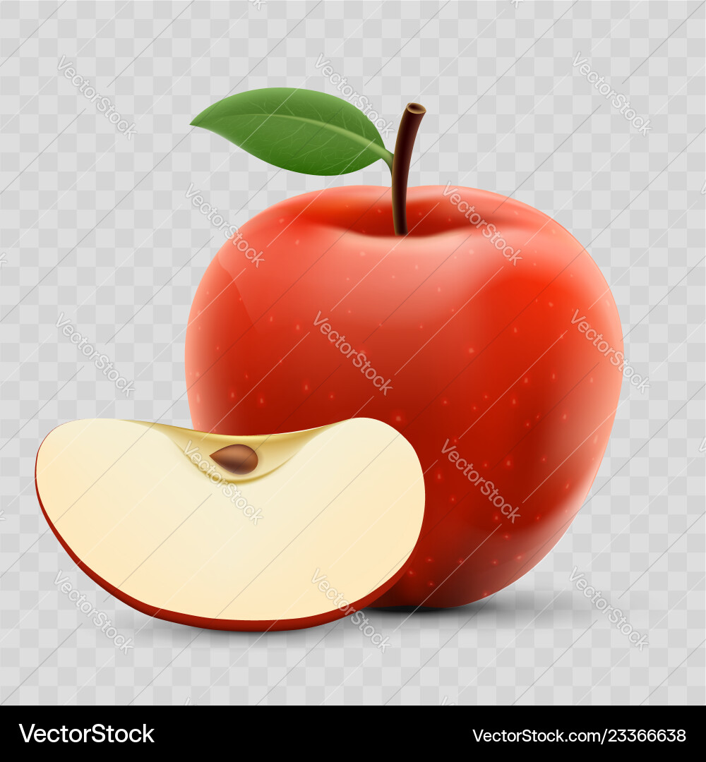 Red ripe apple and slice isolated on a Royalty Free Vector
