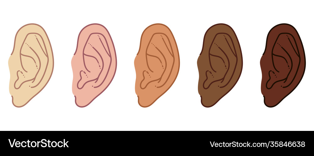 Set hand drawn ear sketch symbol with different Vector Image