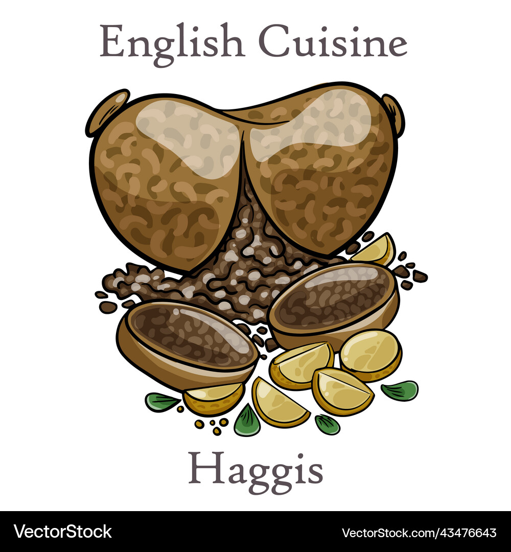 Freshly cooked haggis close-up scottish tradition Vector Image
