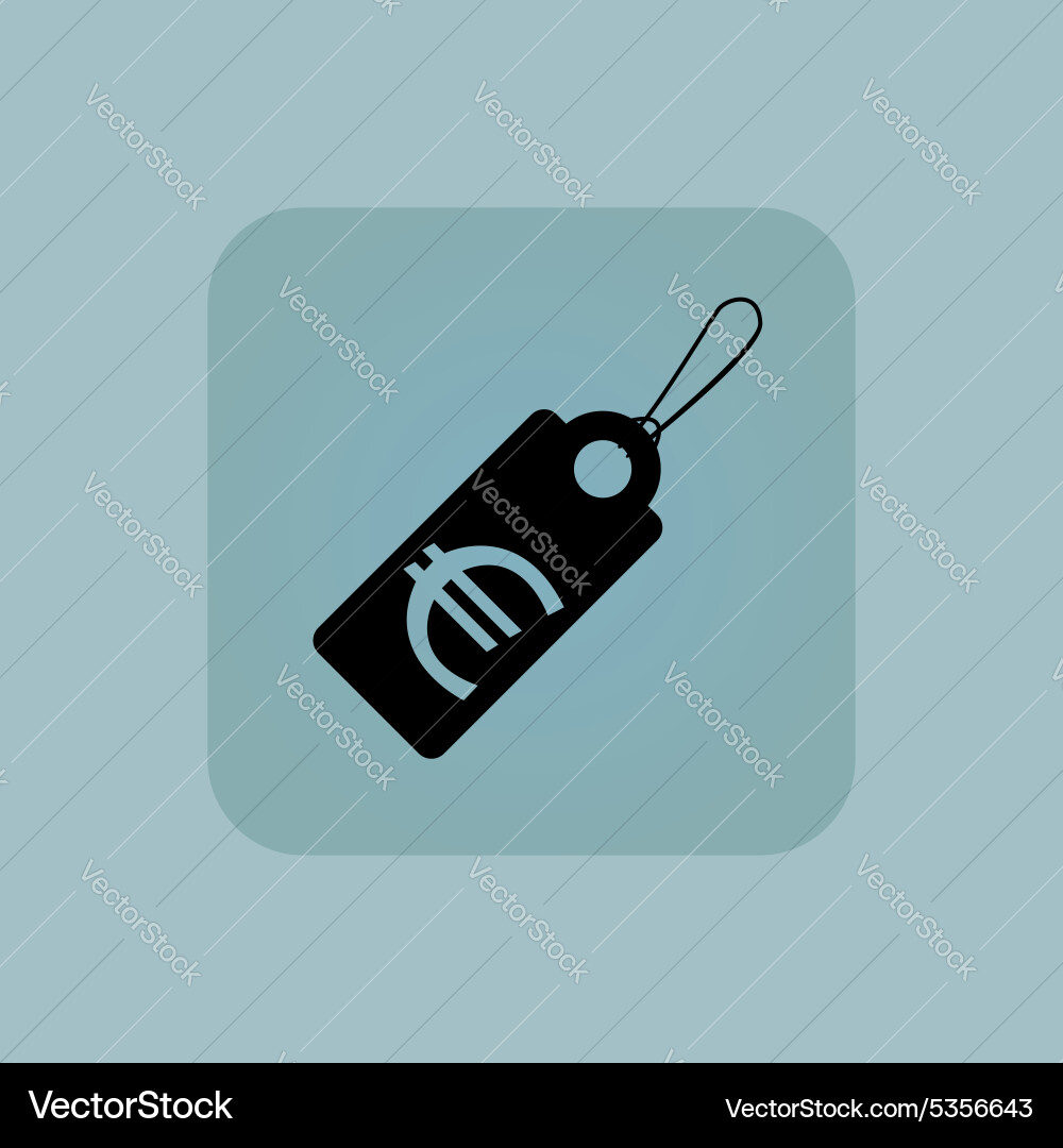 Pale blue euro price icon Royalty Free Vector Image