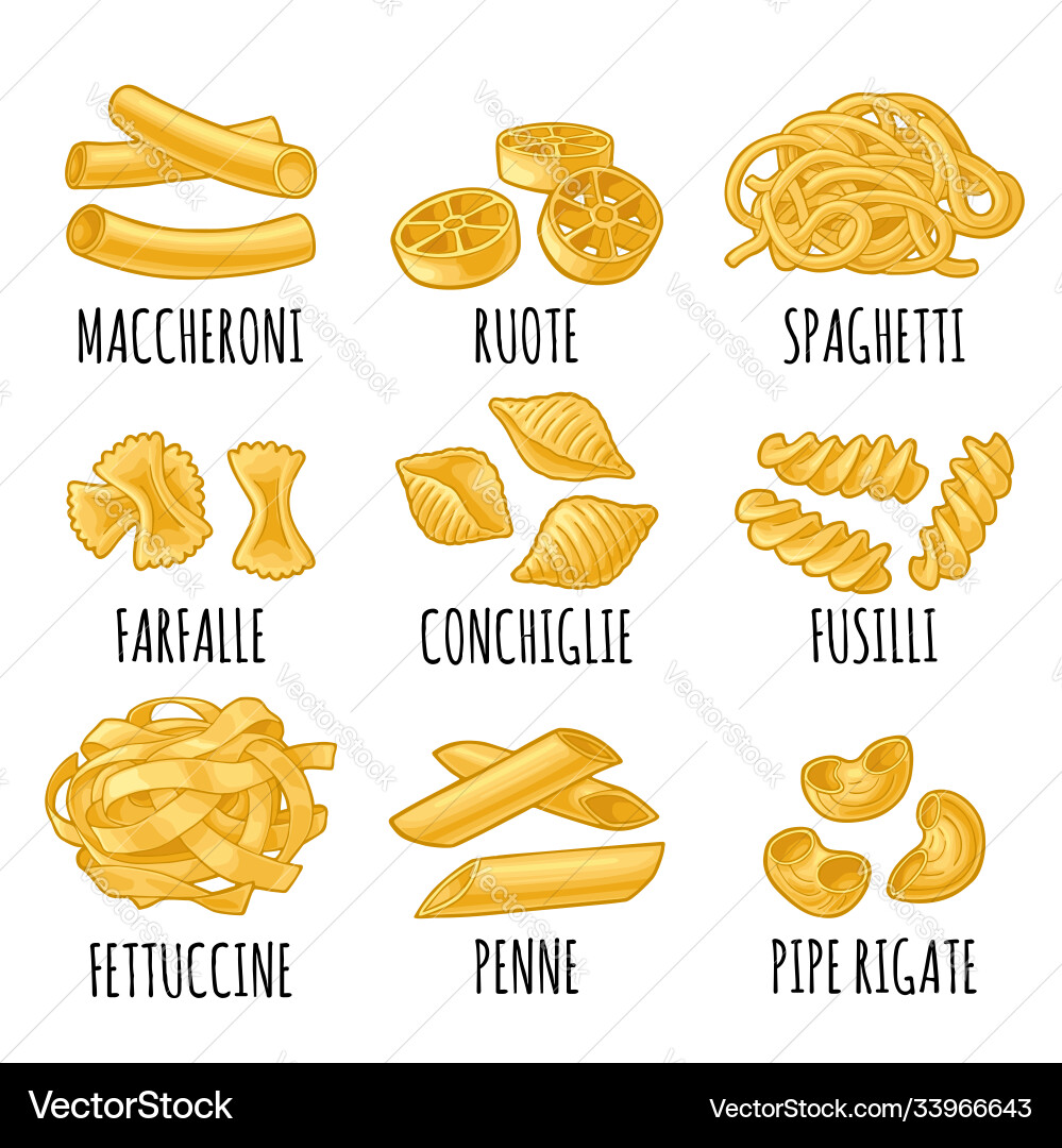 Set pasta farfalle conchiglie maccheroni Vector Image