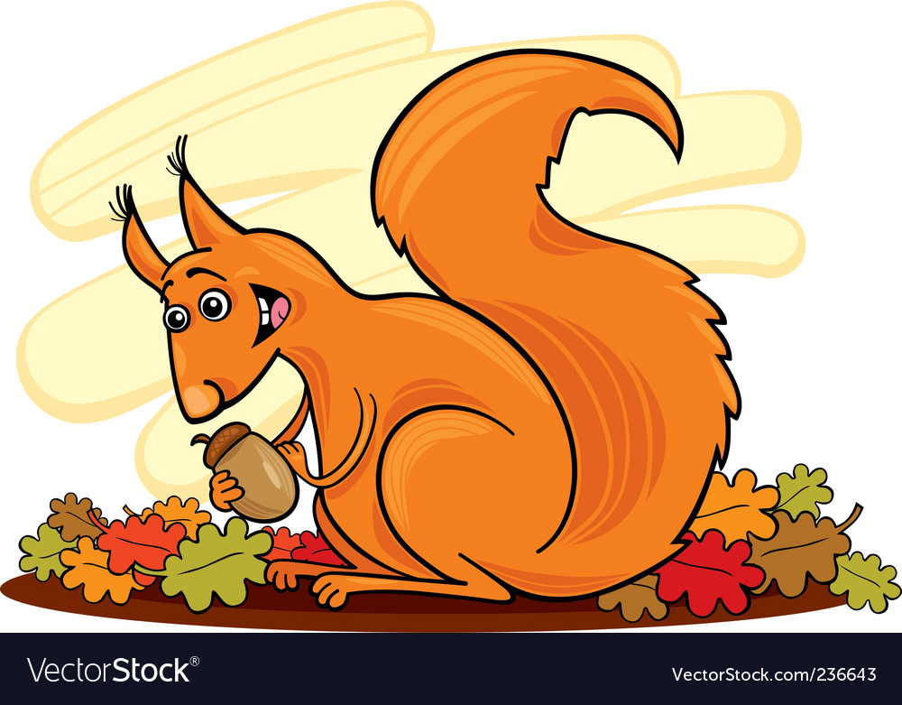 Squirrel with nut Royalty Free Vector Image - VectorStock