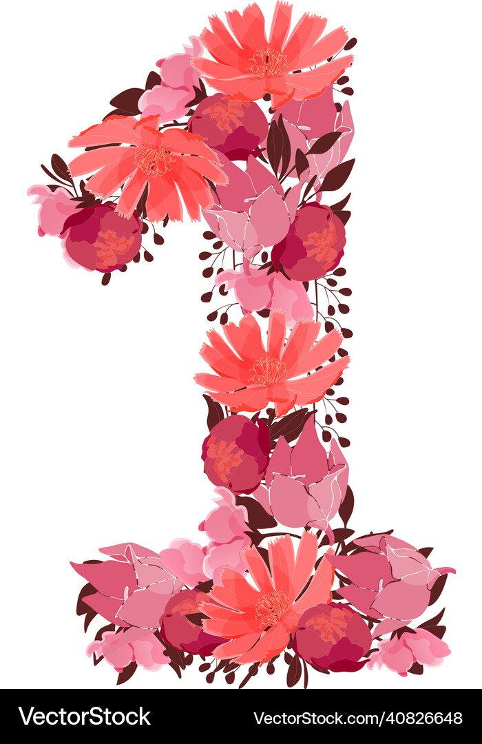 Flower number 1 botanical character Royalty Free Vector