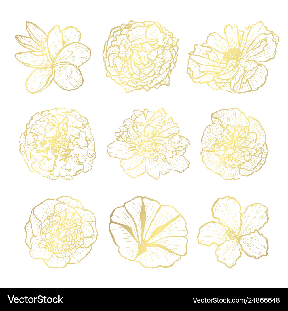 Golden floral decoration Royalty Free Vector Image