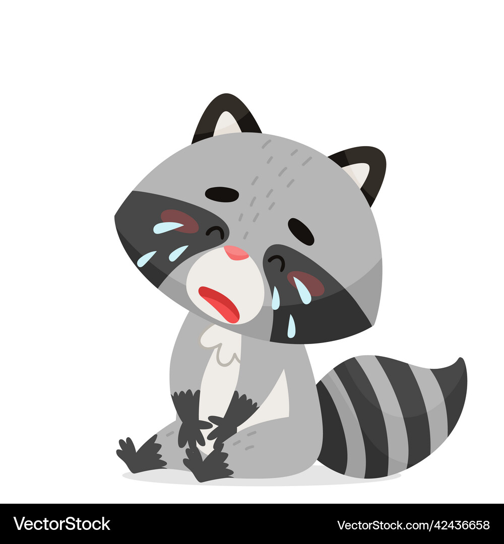 Crying Raccoon Cartoon Royalty Free Vector Image
