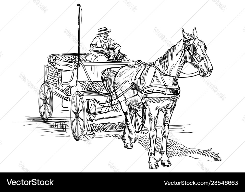 Horse in harness2 Royalty Free Vector Image - VectorStock