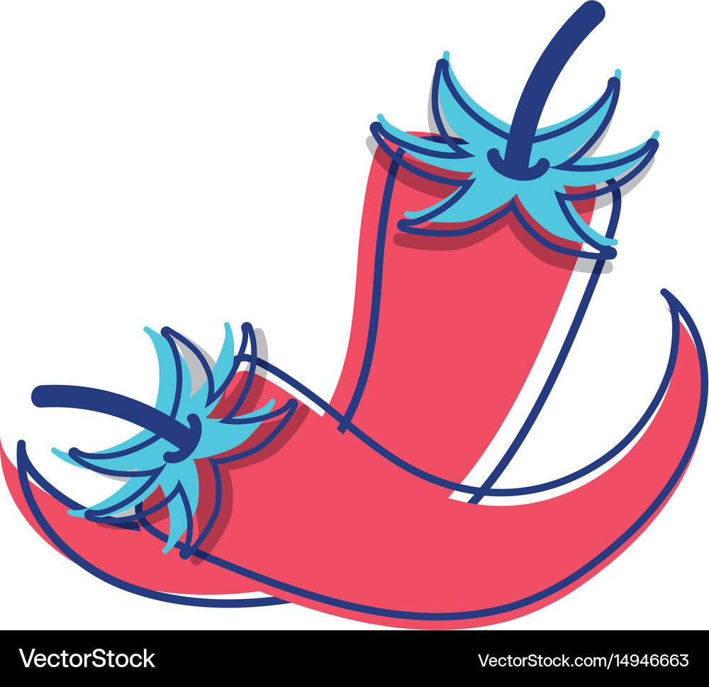 Red chilli pepper organic healthy vegetable Vector Image