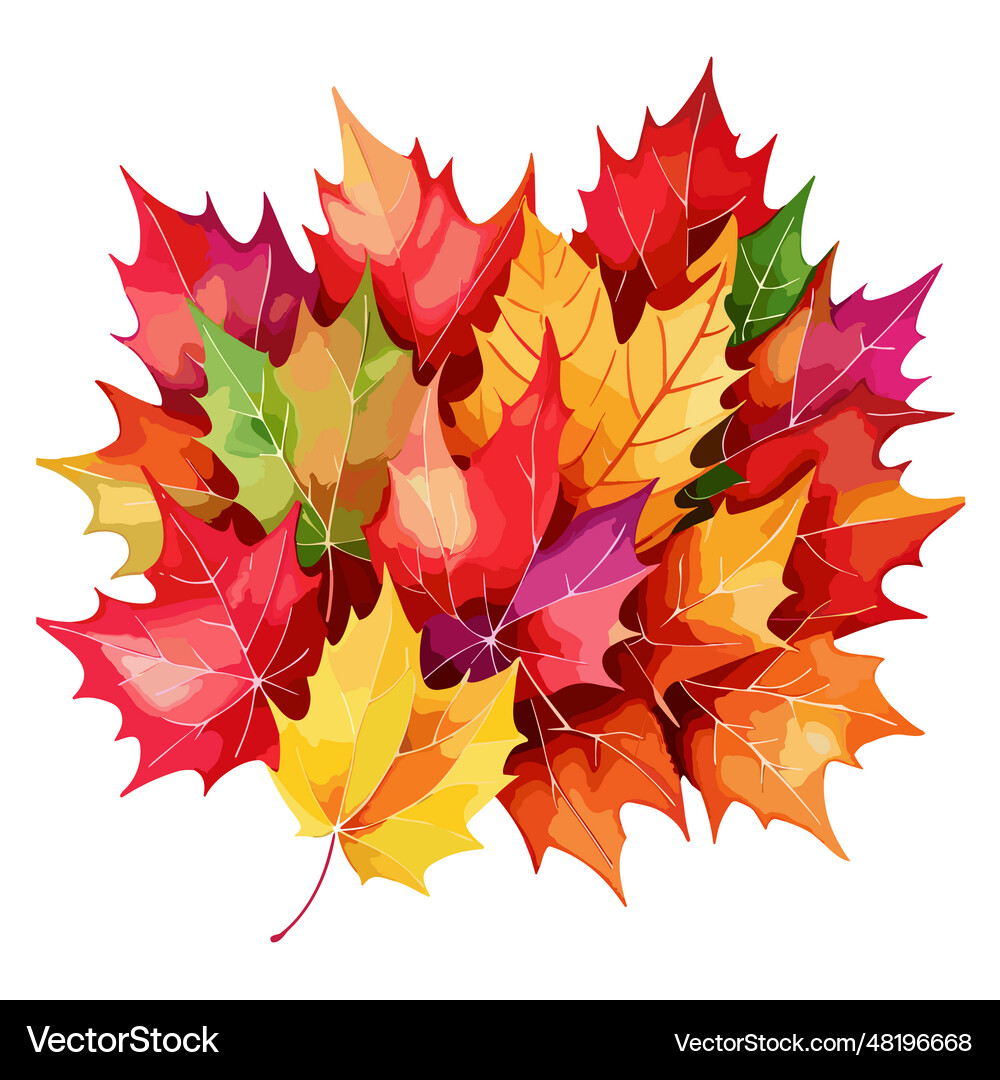 Bouquet of autumn maple Royalty Free Vector Image