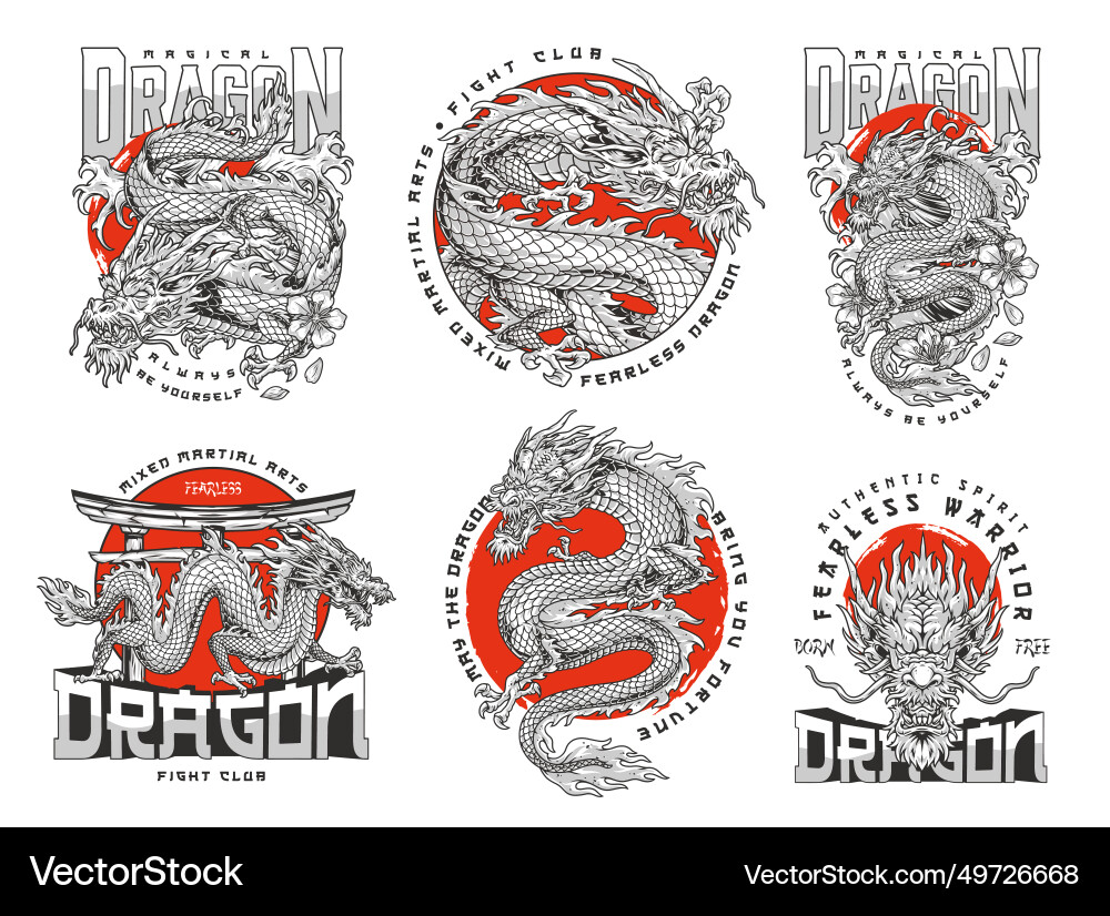 Mma dragon set flyer colorful Royalty Free Vector Image