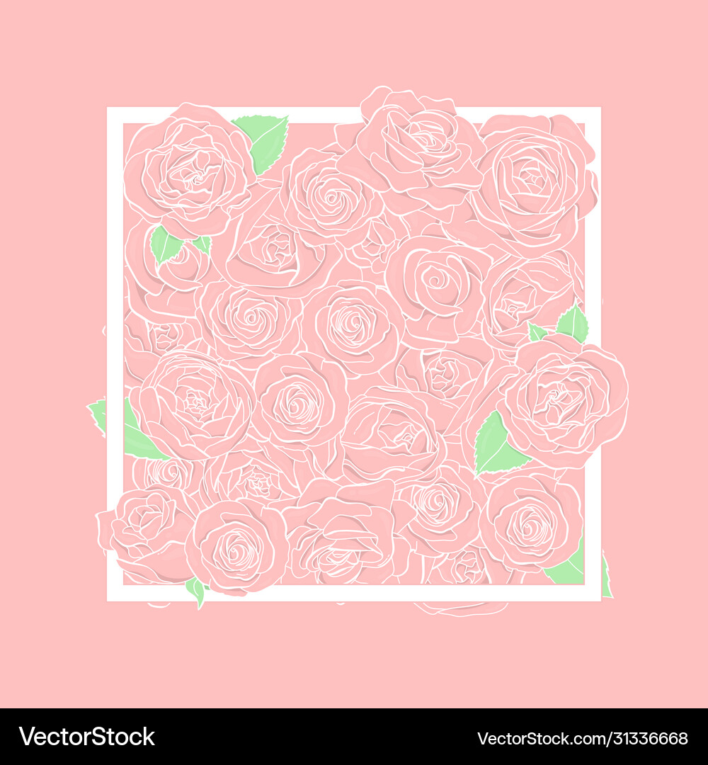 Rose flowers in a square white frame on pink Vector Image