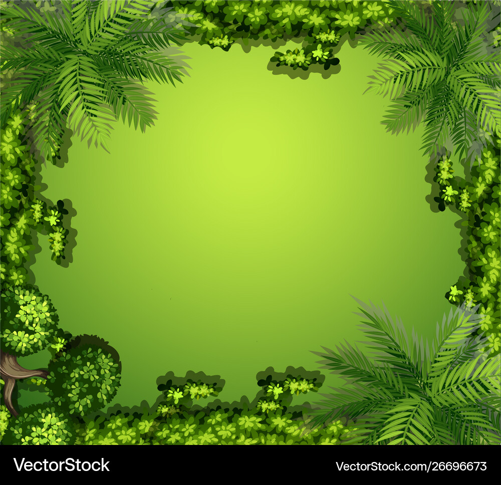 Aerial Plants Examples