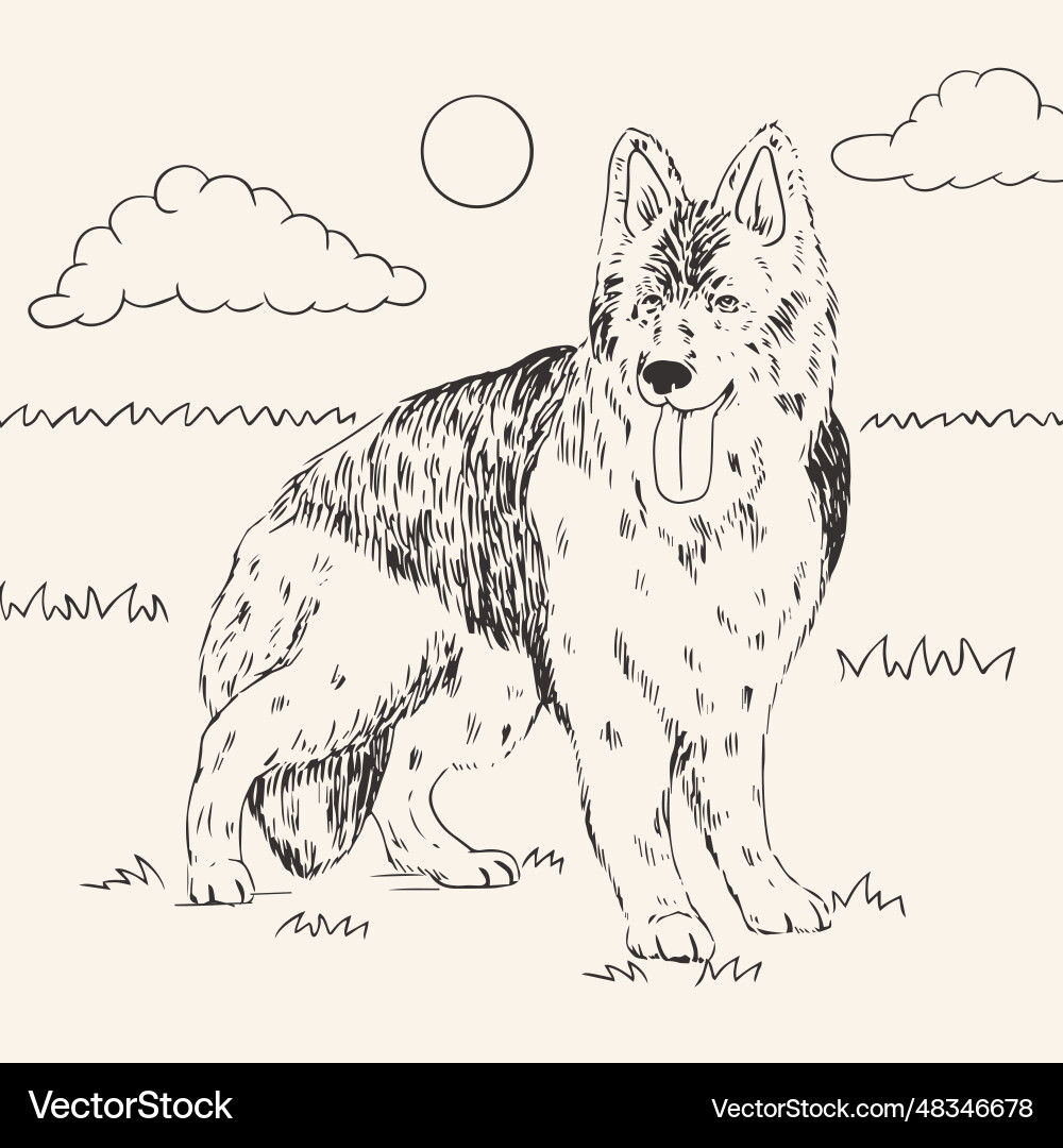 Hand drawn german shepherd outline isolated on Vector Image