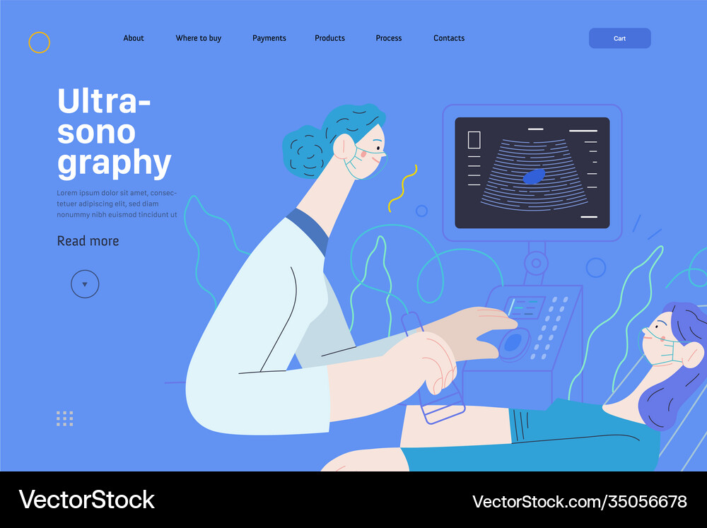 Medical tests - ultrasound Royalty Free Vector Image