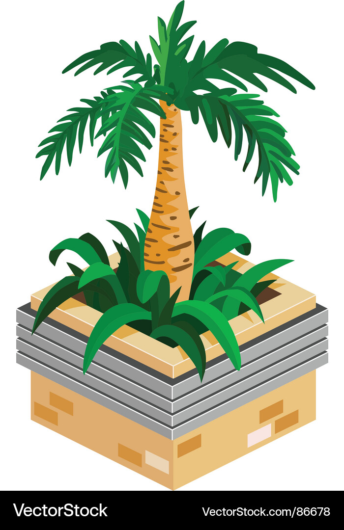 Palm plant Royalty Free Vector Image - VectorStock