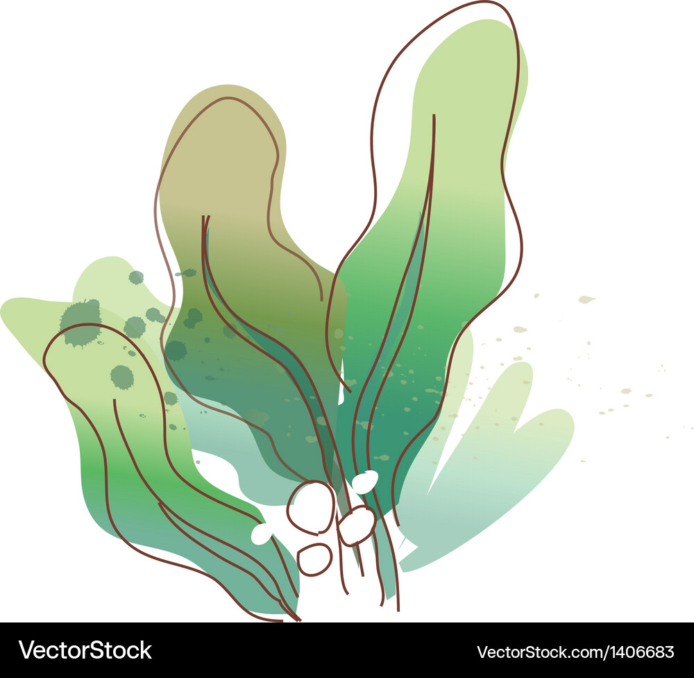 A view of seaweed Royalty Free Vector Image - VectorStock
