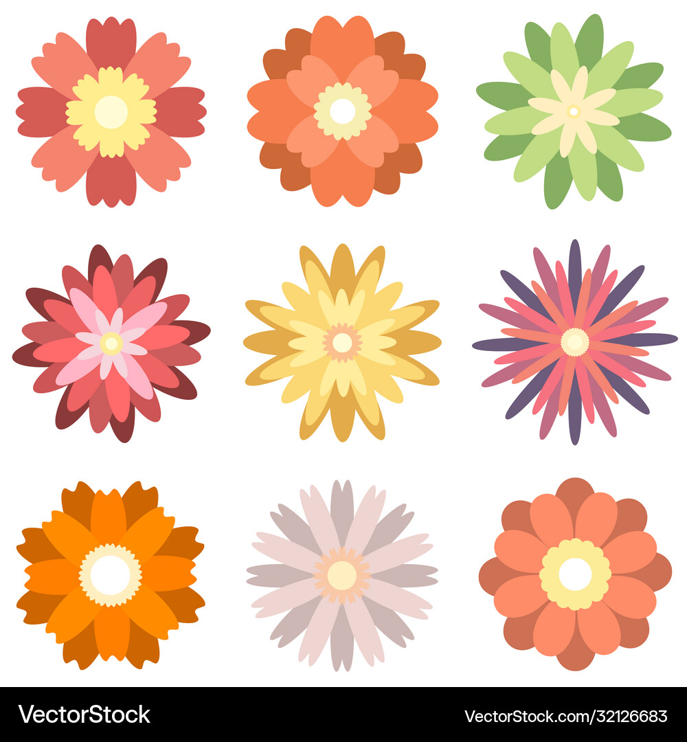 Colorful spring flowers collection Royalty Free Vector Image
