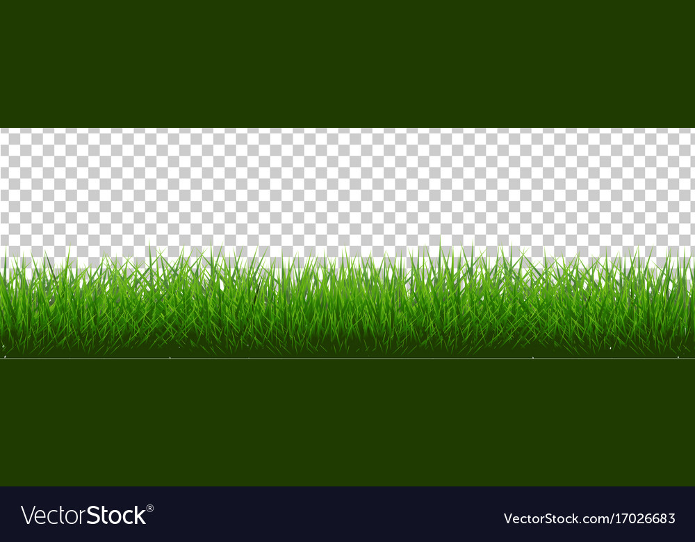 Grass border Royalty Free Vector Image - VectorStock