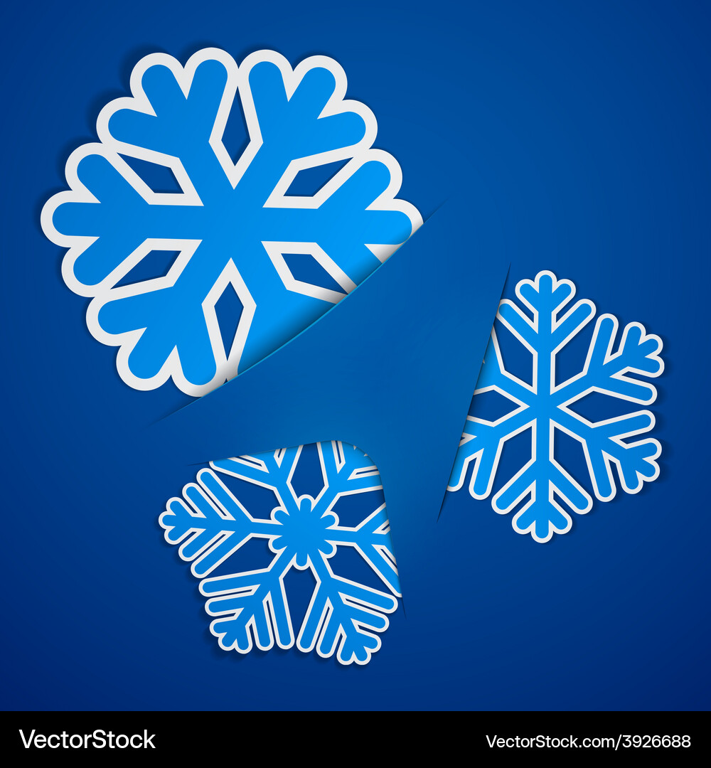 Sticky paper snowflakes Royalty Free Vector Image