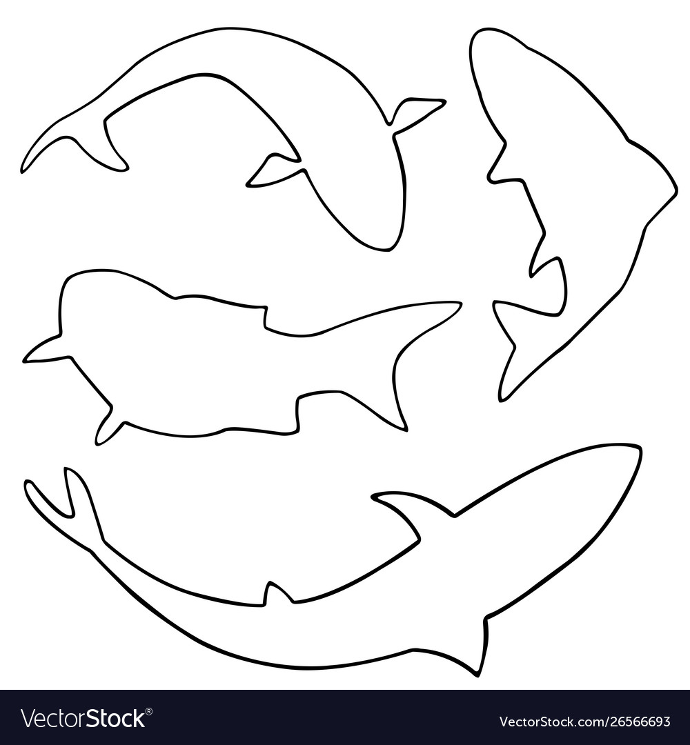 Jumping fish Royalty Free Vector Image - VectorStock Jumping fish Royalty Free Vector Image - VectorStock