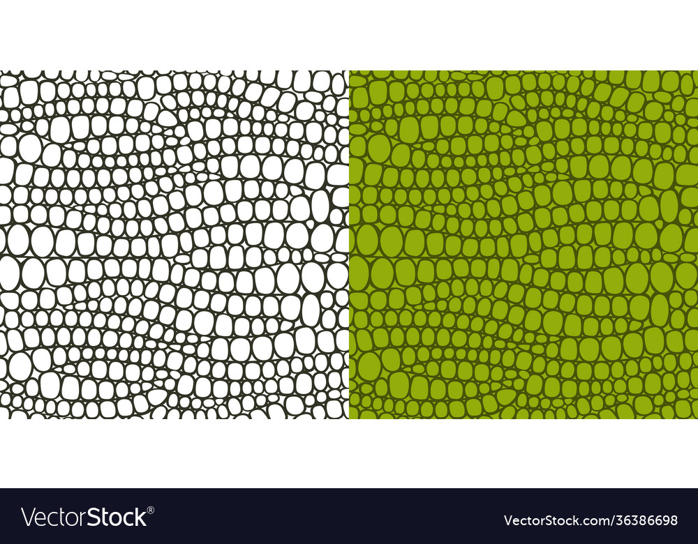 Crocodile pattern Royalty Free Vector Image - VectorStock