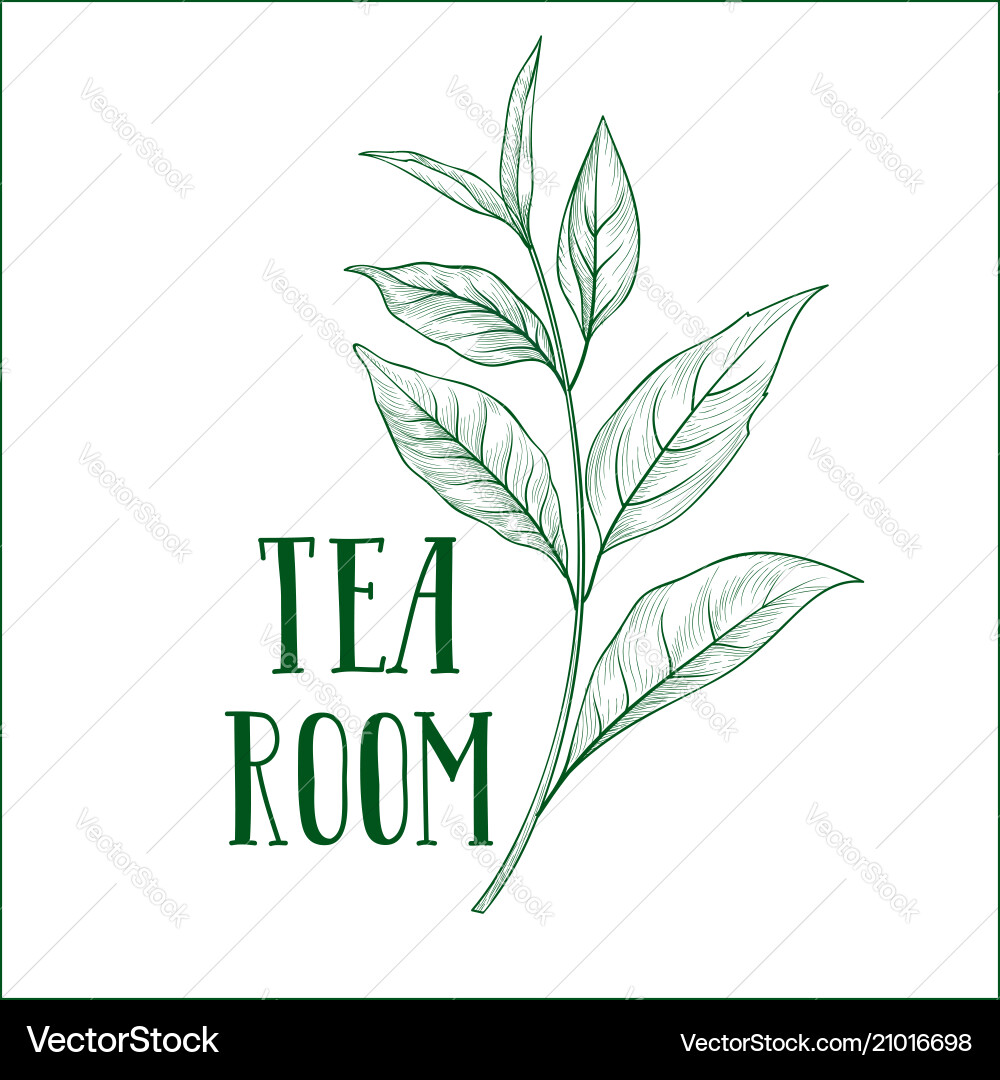 Green tea tree branch herb label with leaves Vector Image