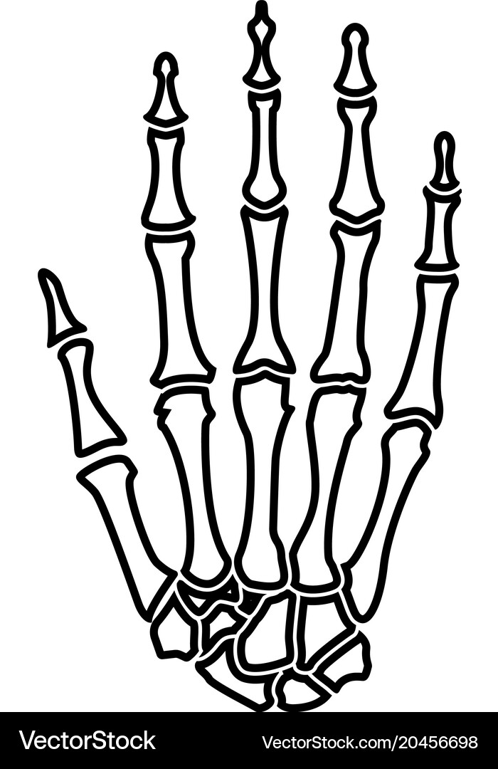 Hand Bones Coloring Page Free Skeletons Coloring Pages For Kids 11
