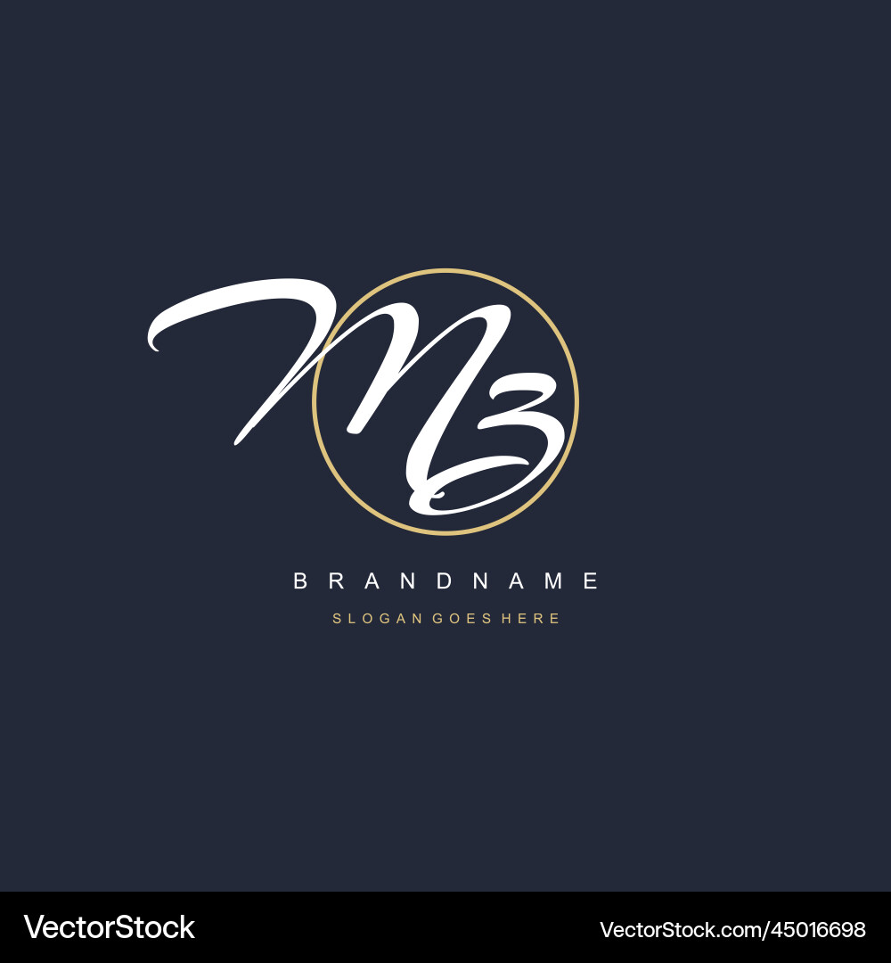 Initial letter mz logo monogram feminine style Vector Image