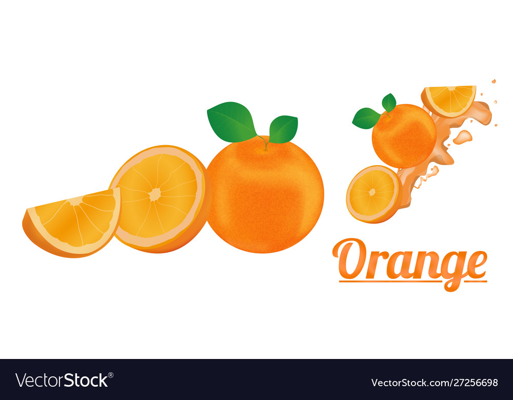 Orange Royalty Free Vector Image - VectorStock