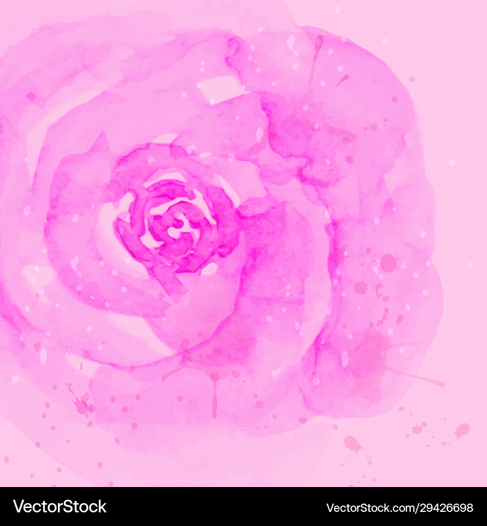 Watercolor design with pink rose Royalty Free Vector Image