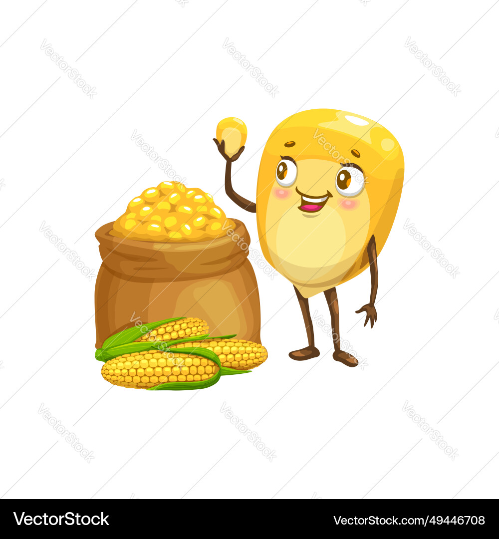 Corn grain cartoon character or funny sweet Vector Image