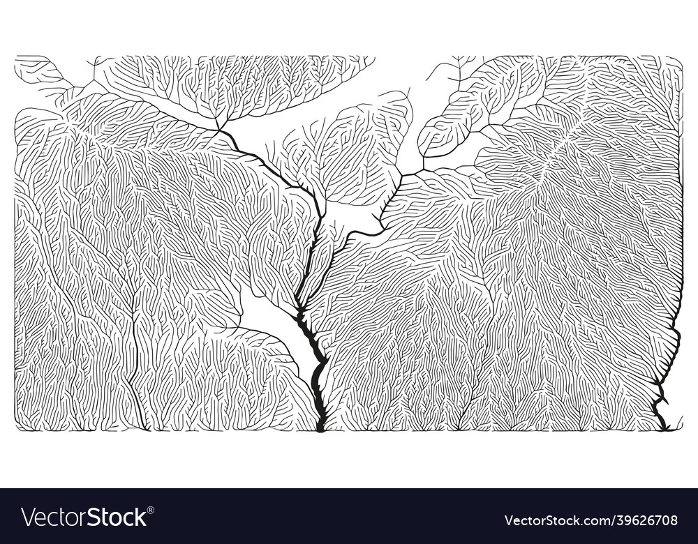 Growth pattern generative branching structure Vector Image