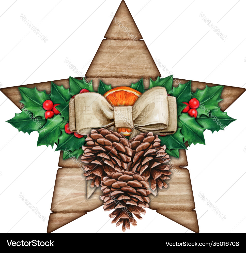 Watercolor shabby chic rustic star with holly Vector Image