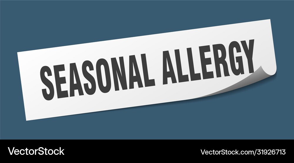 Seasonal allergy sticker square Royalty Free Vector Image