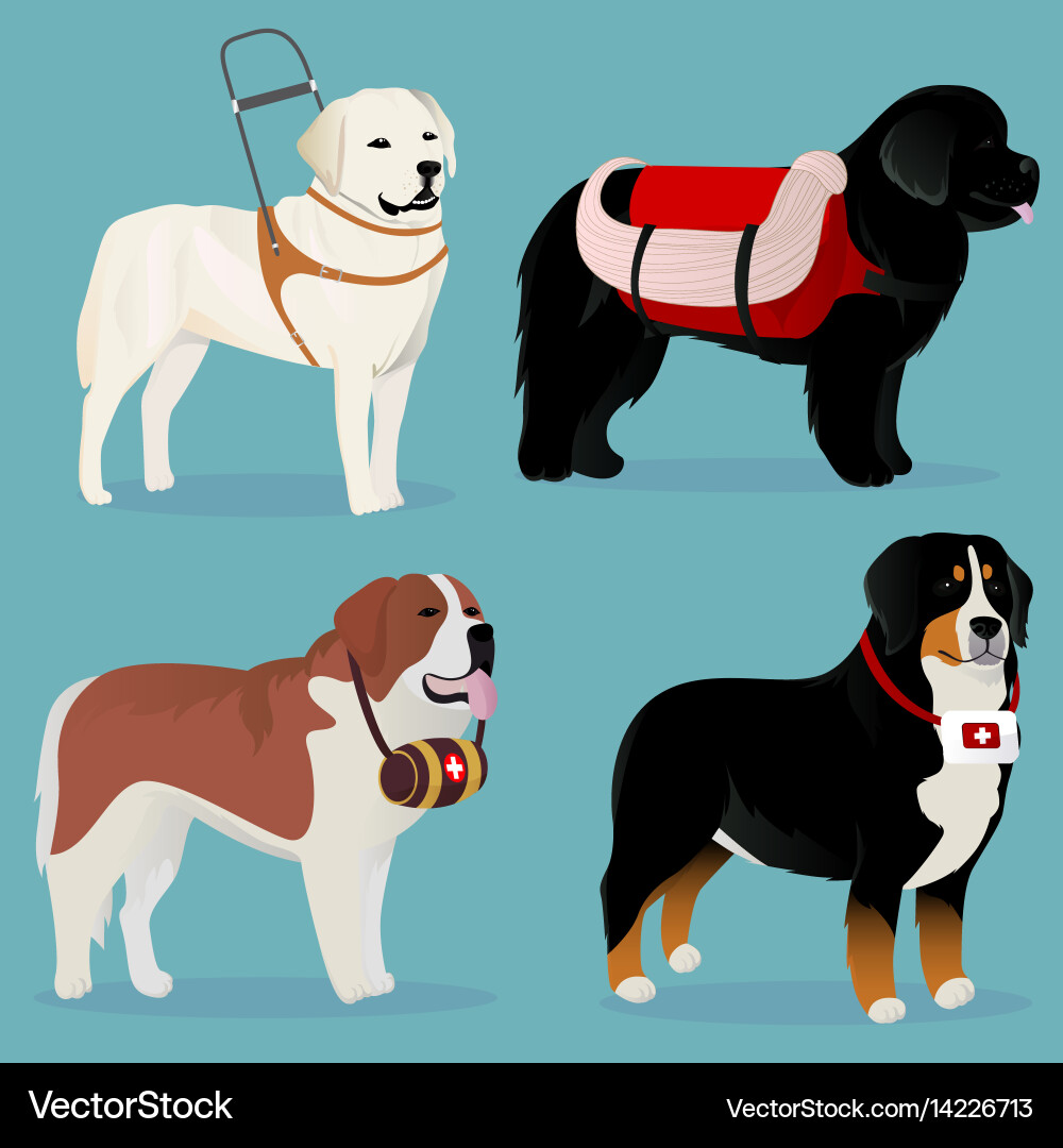 Set dogs rescuers and helpers Royalty Free Vector Image
