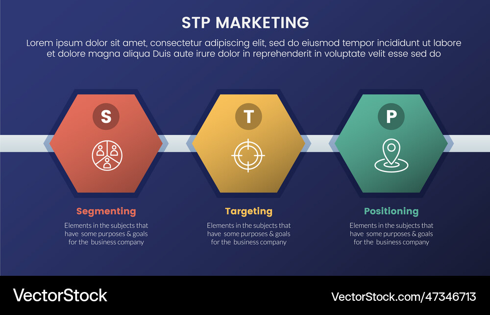 Stp marketing strategy model for segmentation Vector Image