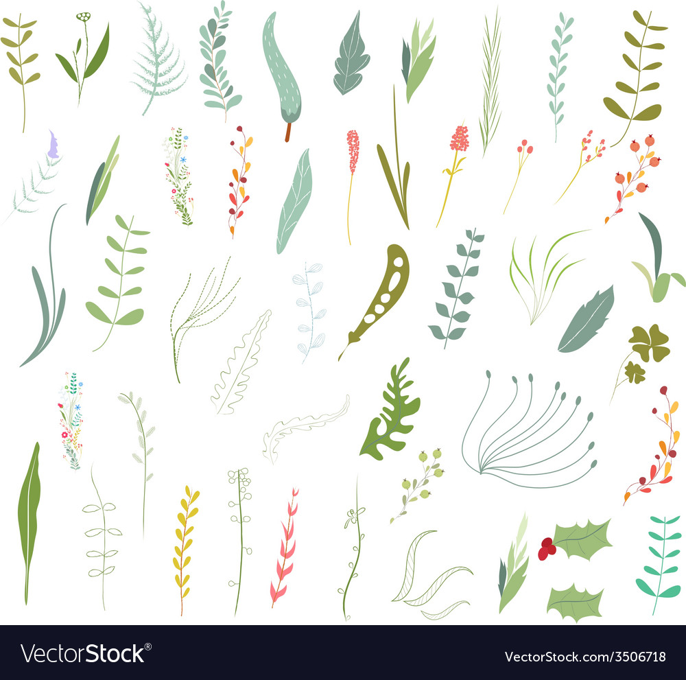 Vintage Floral Royalty Free Vector Image - VectorStock