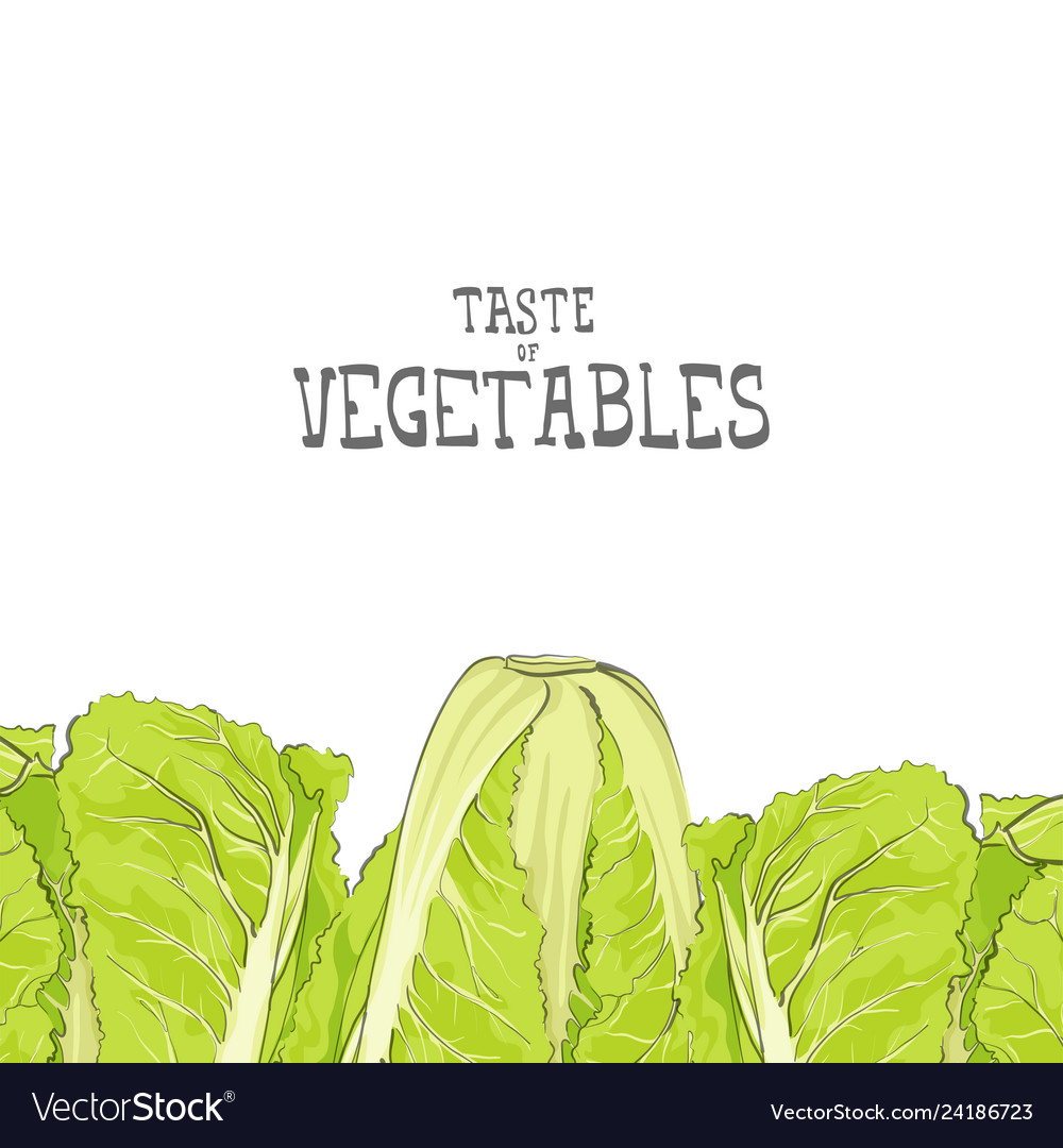 Fresh vegetable Royalty Free Vector Image - VectorStock