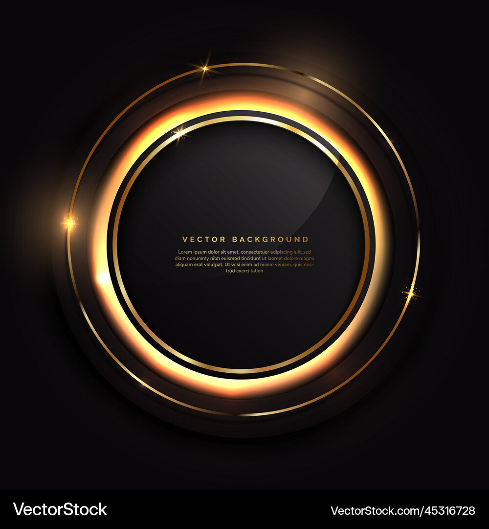Abstract luxury gold circle lines frame on black Vector Image