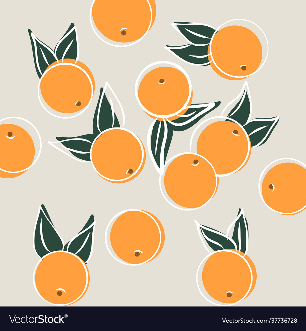Citrus Fruit Pattern - Orange Royalty Free Vector Image