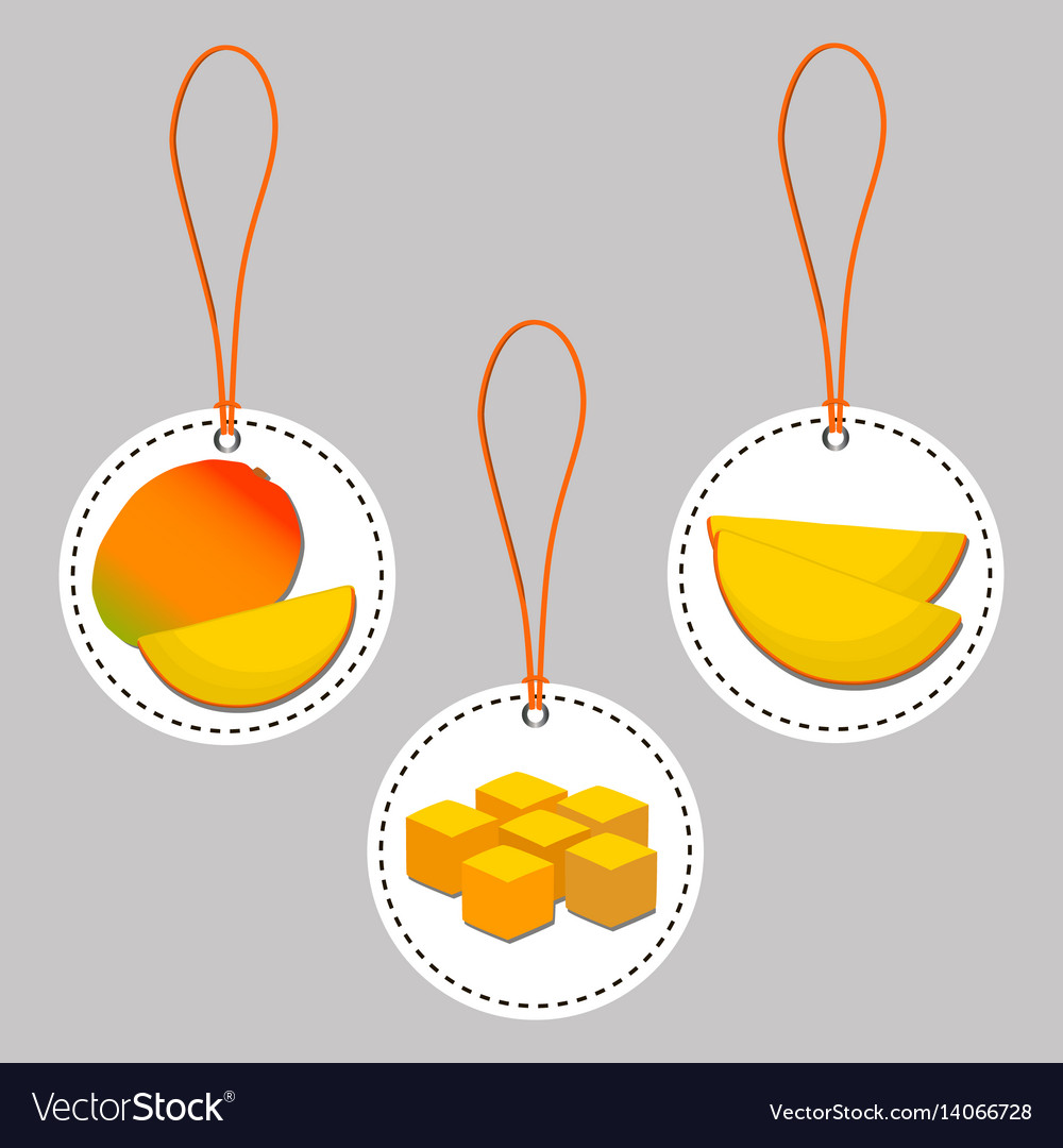 Mango Royalty Free Vector Image - VectorStock