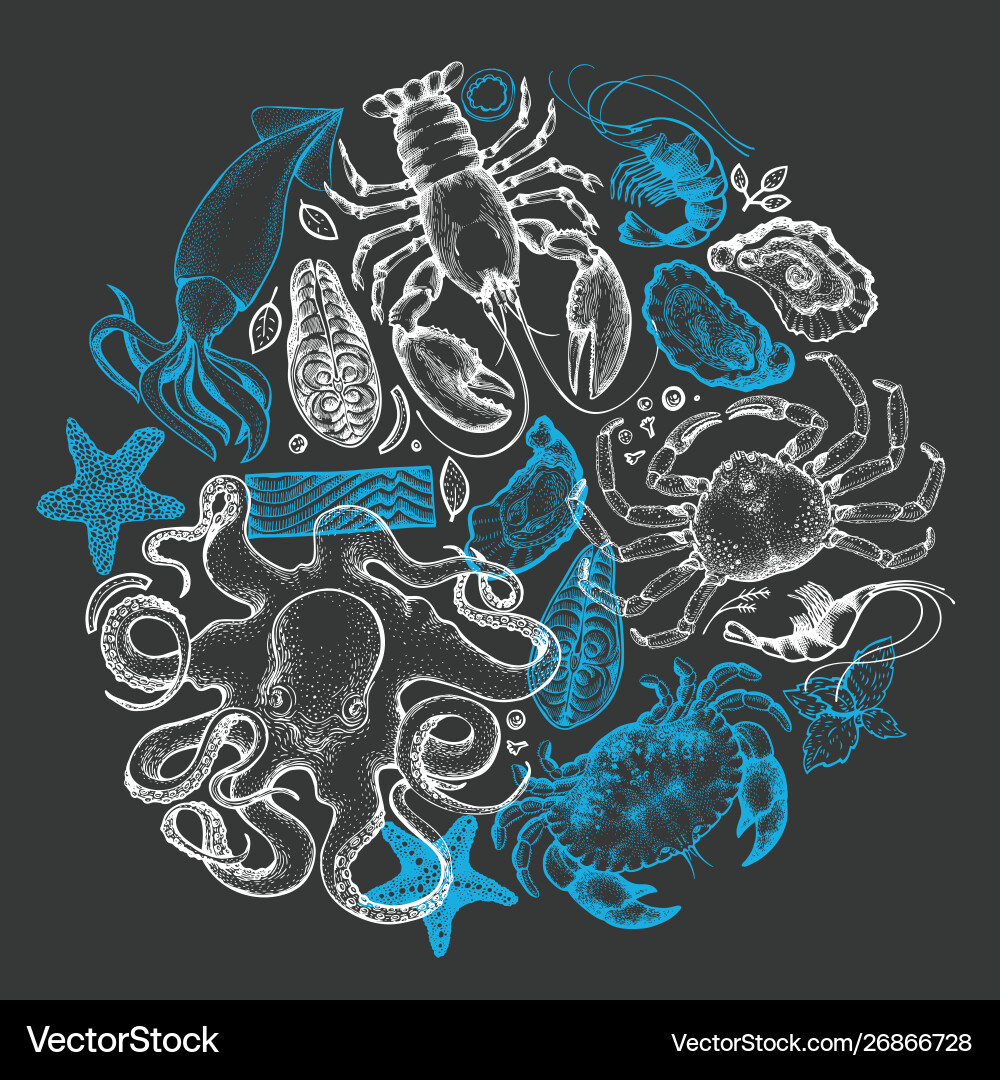 Seafood and fish background hand drawn on chalk Vector Image