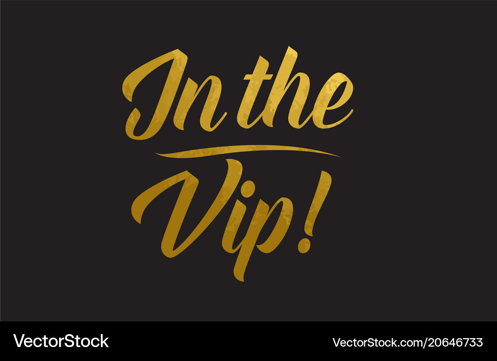 In the vip gold word text typography Royalty Free Vector