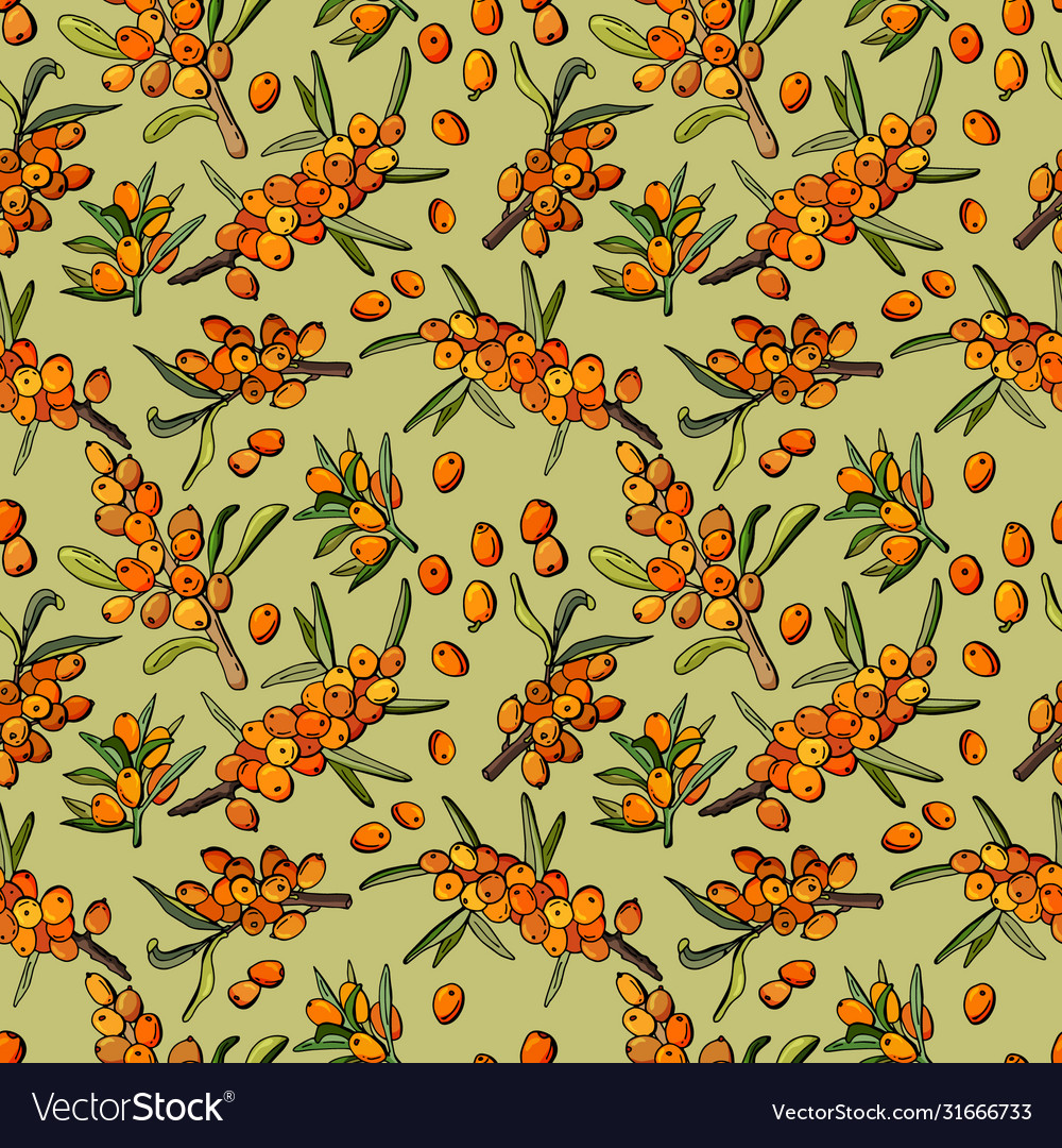 Seamless pattern sea buckthorn berries Royalty Free Vector Seamless pattern sea buckthorn berries Royalty Free Vector