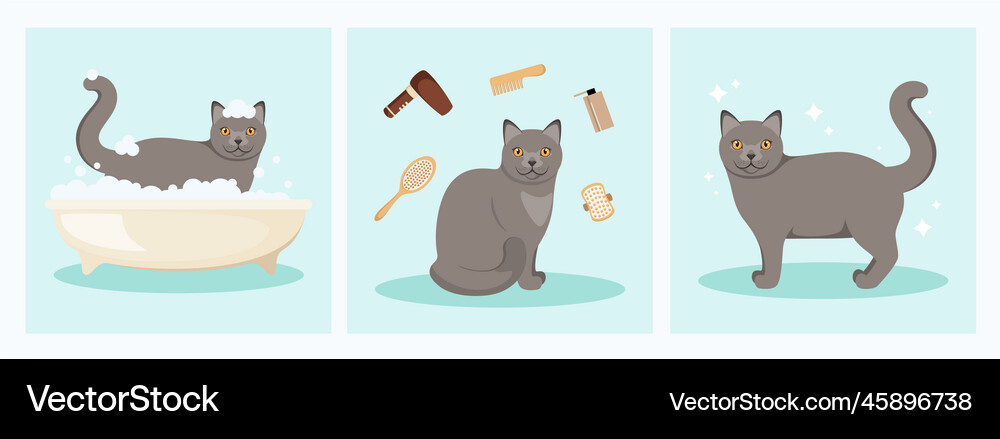 Grooming Royalty Free Vector Image - VectorStock